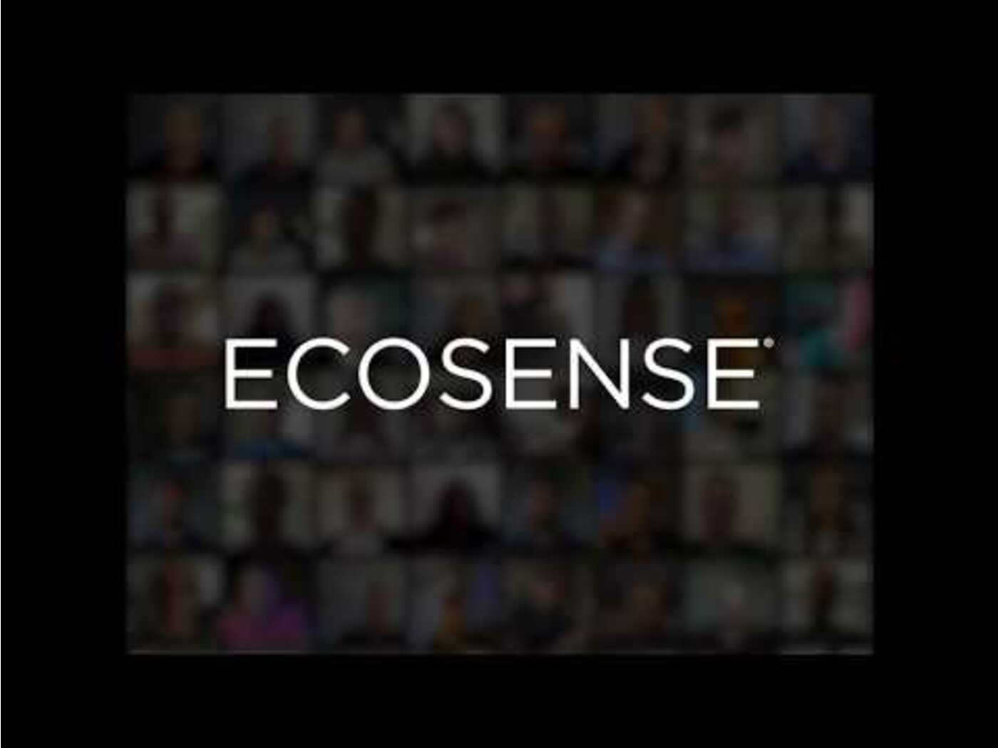 Ecosense Lighting Careers | Shelly Lighting